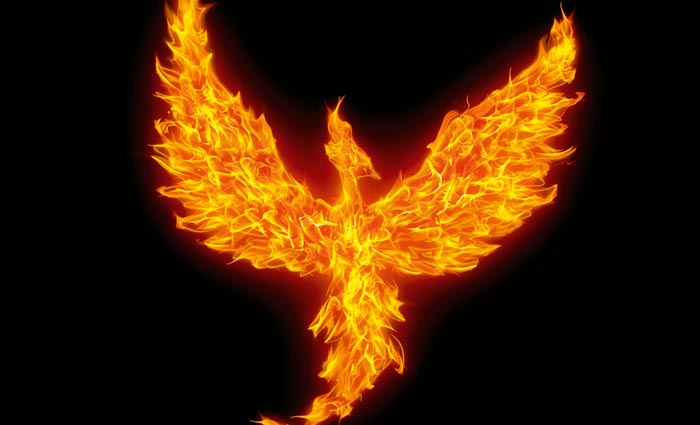 The burning question of phoenixes - Sprinter