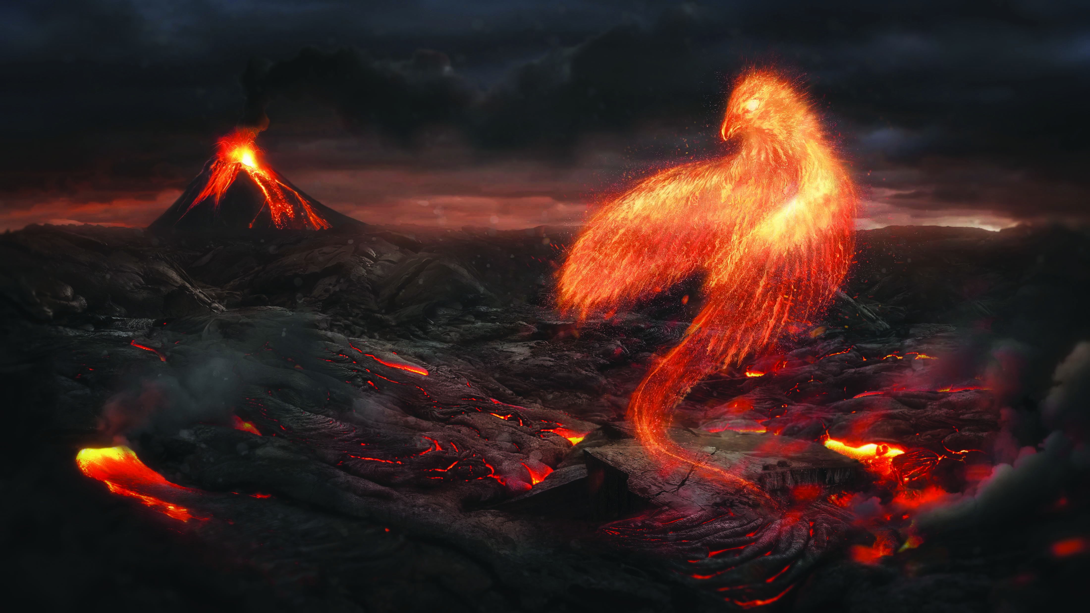 Phoenixing: counting the costs in Australia - Sprinter